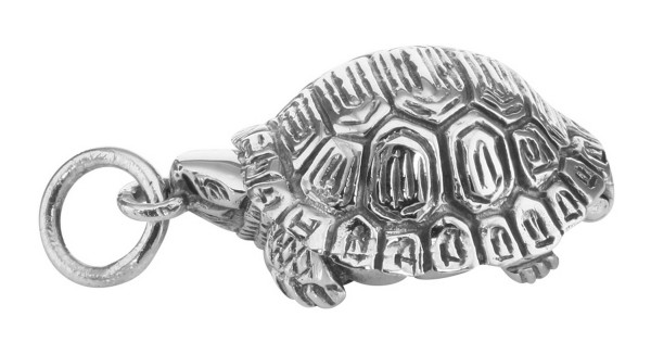 Small Turtle Sterling Silver Locket Box Pendant Tortoise - HP-9073